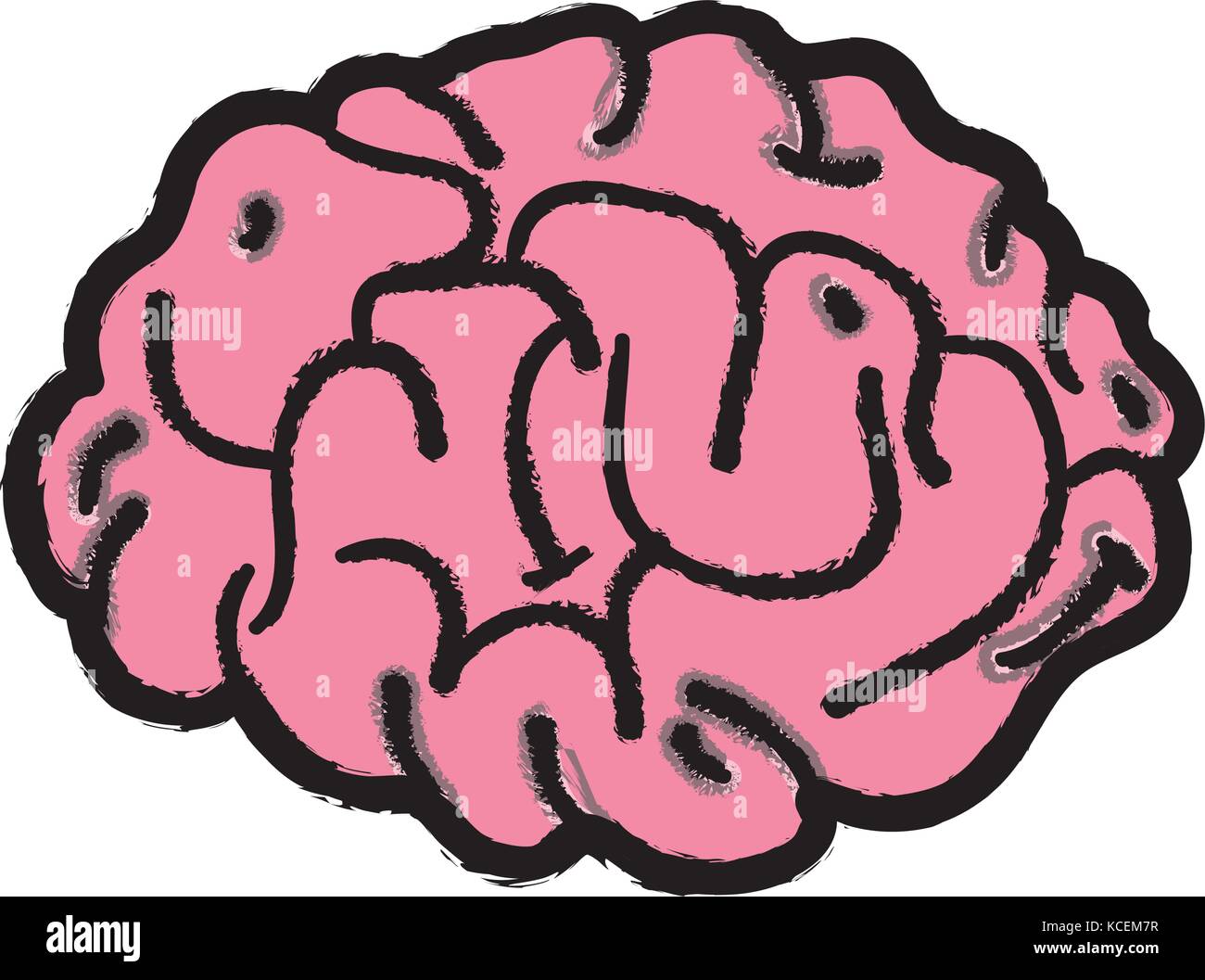 human brain anatomy to creative and intellect Stock Vector Image & Art ...