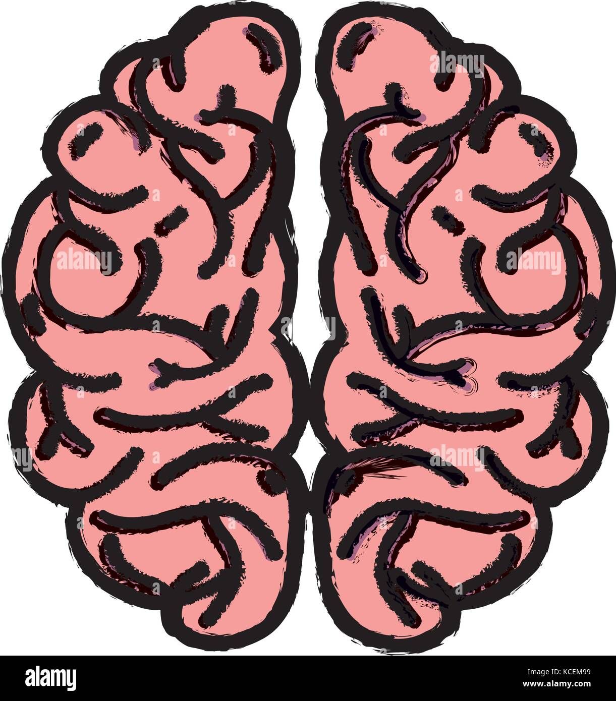 human brain anatomy to creative and intellect Stock Vector Image & Art ...