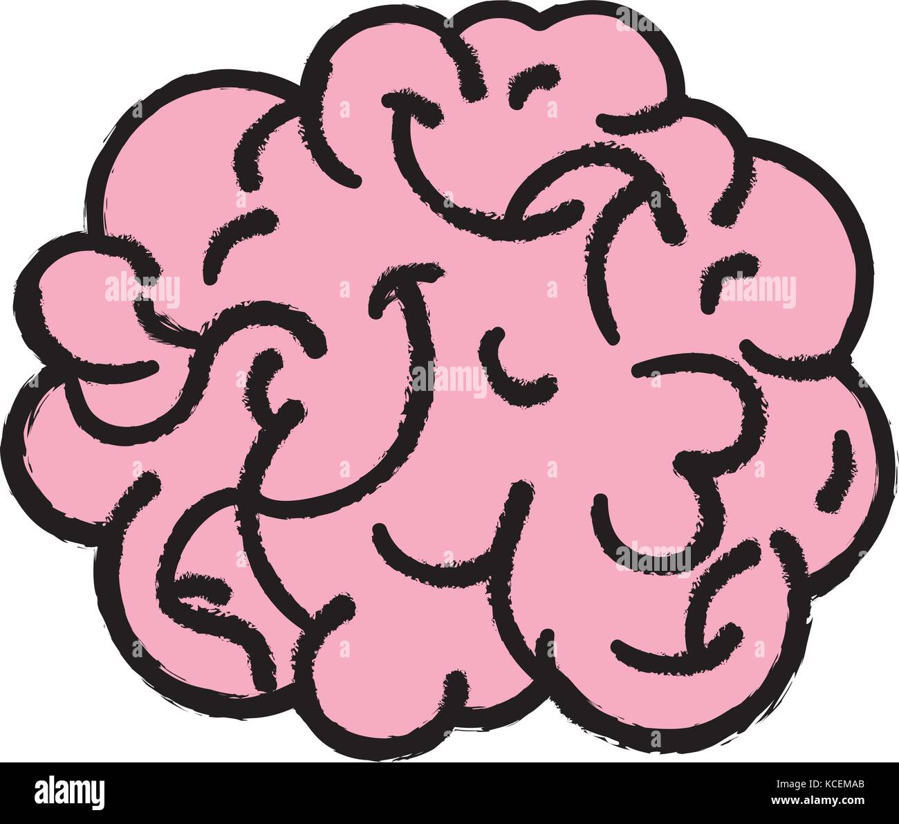 human brain anatomy to creative and intellect Stock Vector Image & Art ...