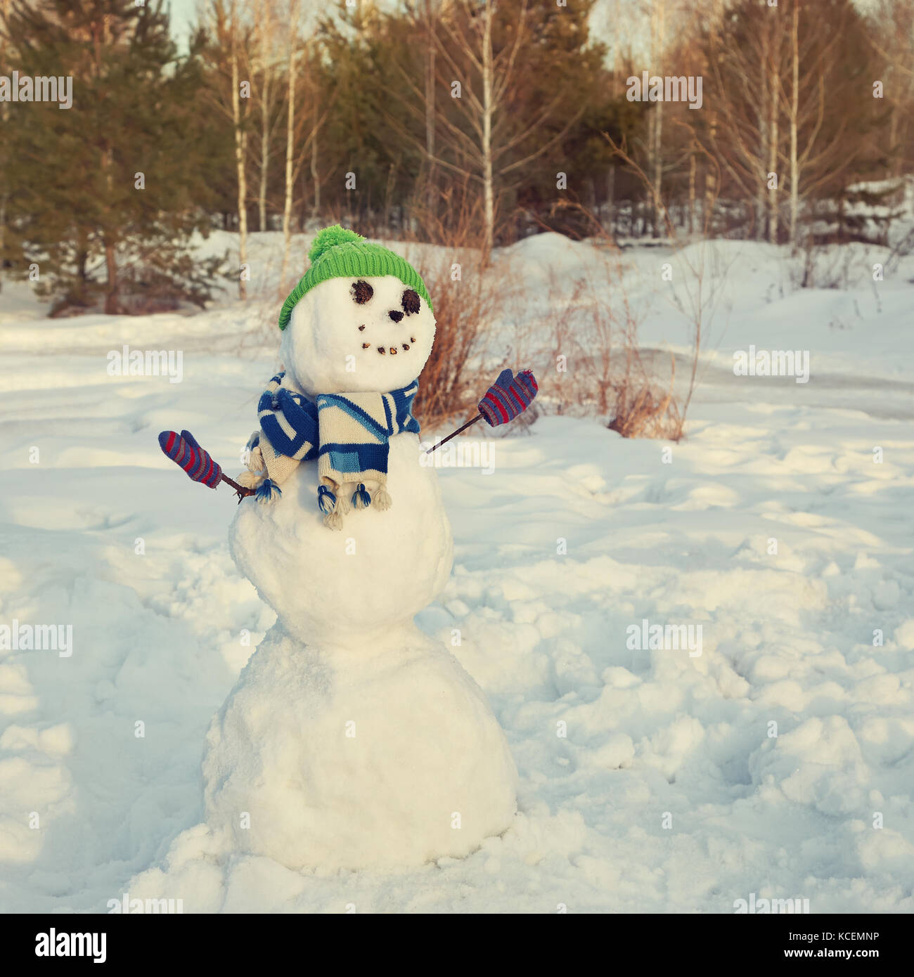 snowman in a forest Stock Photo - Alamy