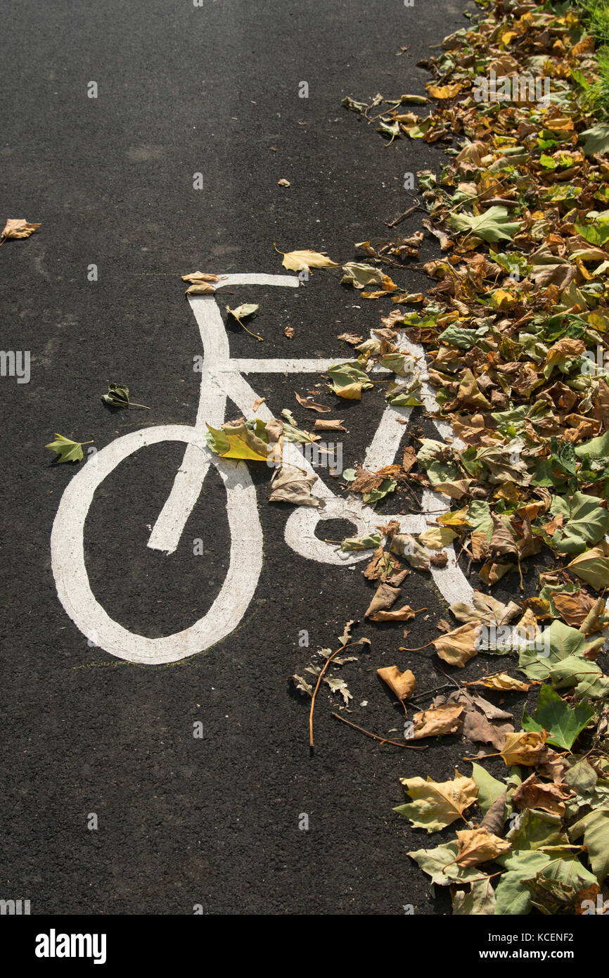 Autumn leaves partly cover white painted bike symbol on tarmac road ...
