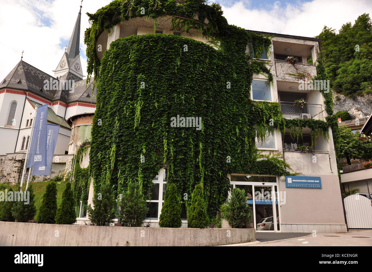 Weird green vegetation covered building, green building, plant building ...