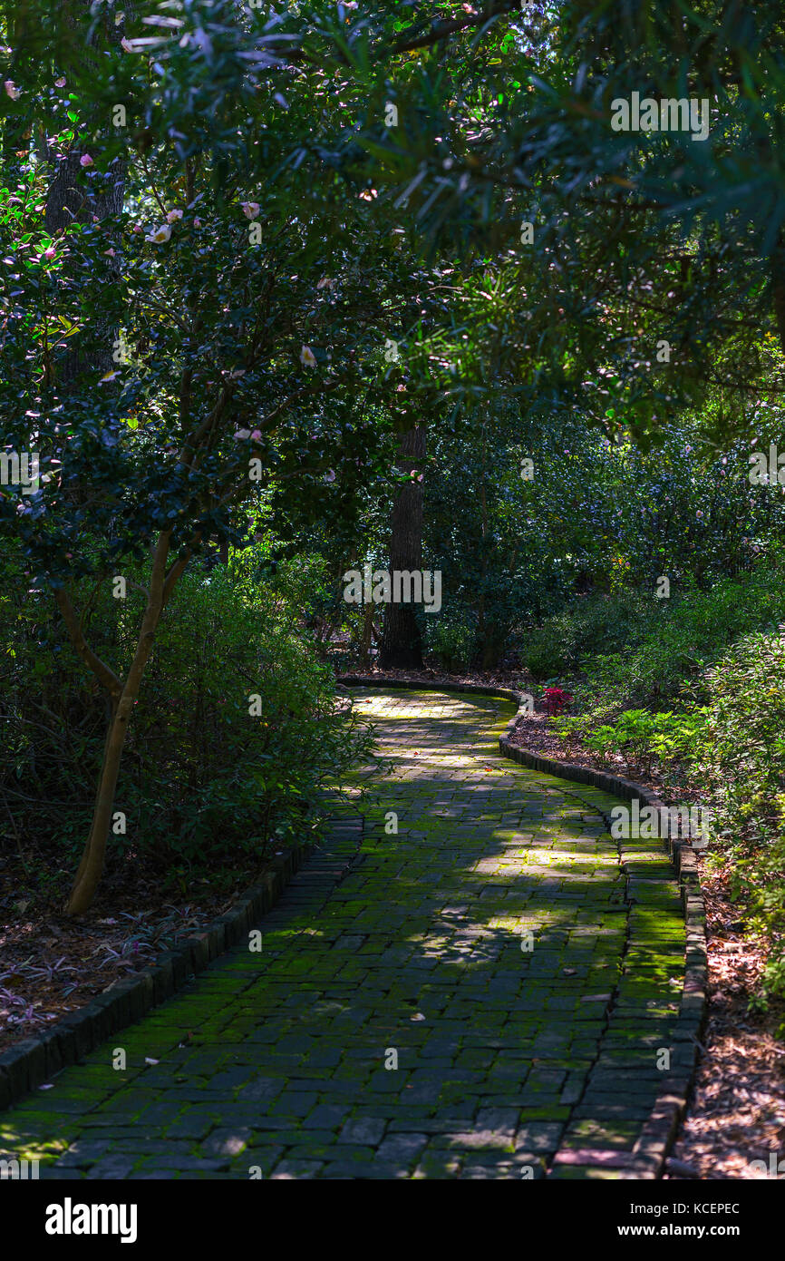 There are still plenty of plants blooming at the botanical gardens in ...