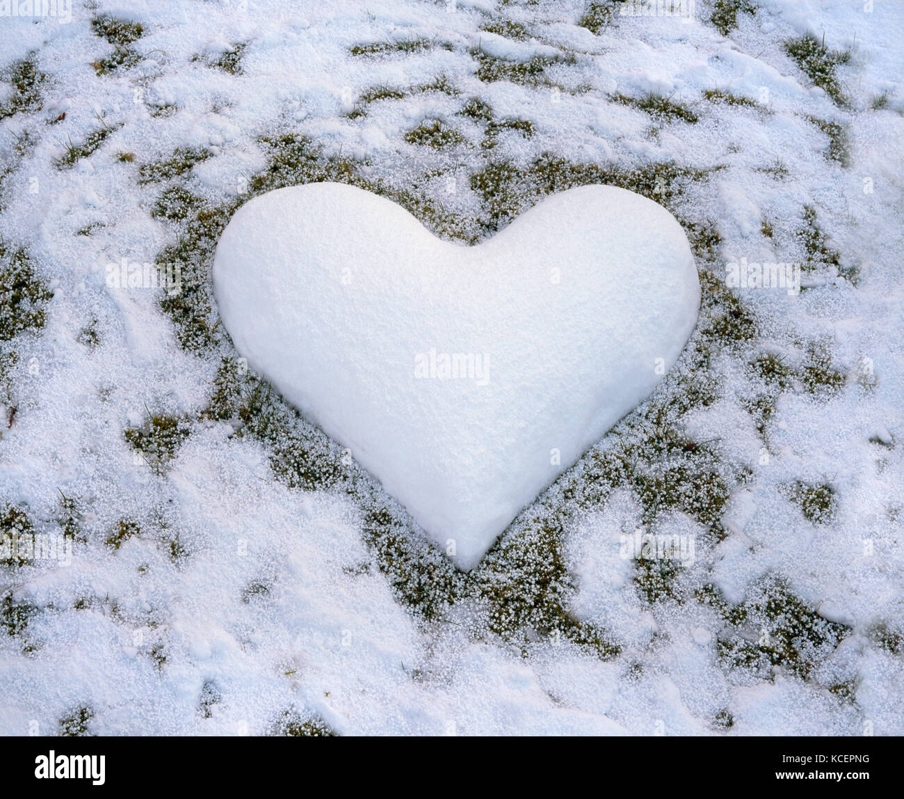 Heart made of compressed snow, over which a light fall of grapple (snow ...