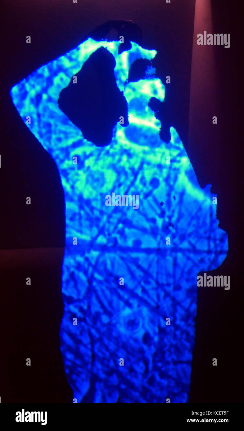 Infrared thermography (IRT), thermal imaging, and thermal video are ...