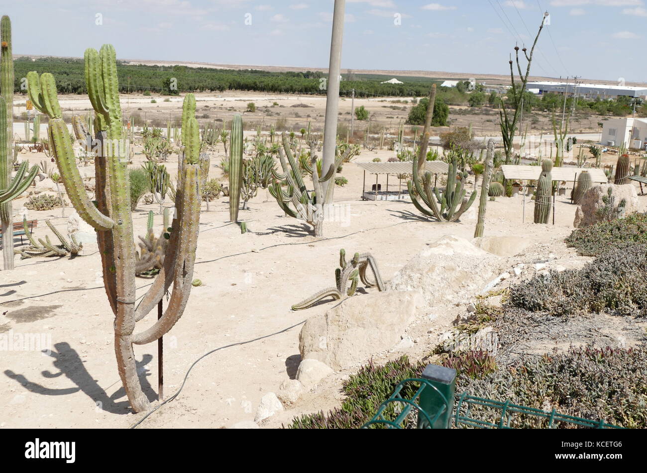 Revivim hi-res stock photography and images - Alamy