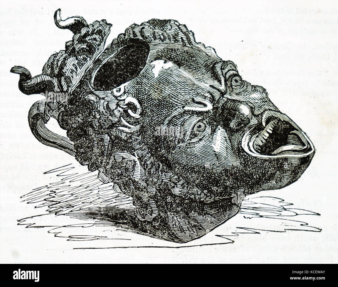 Engraving depicting an ancient Roman bronze head of a monster drawn ...