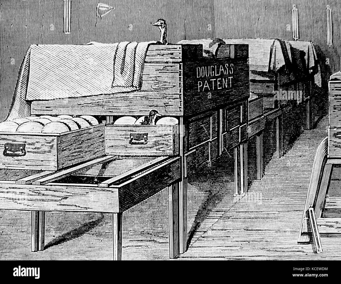 Make room for wildlife Black and White Stock Photos & Images - Alamy