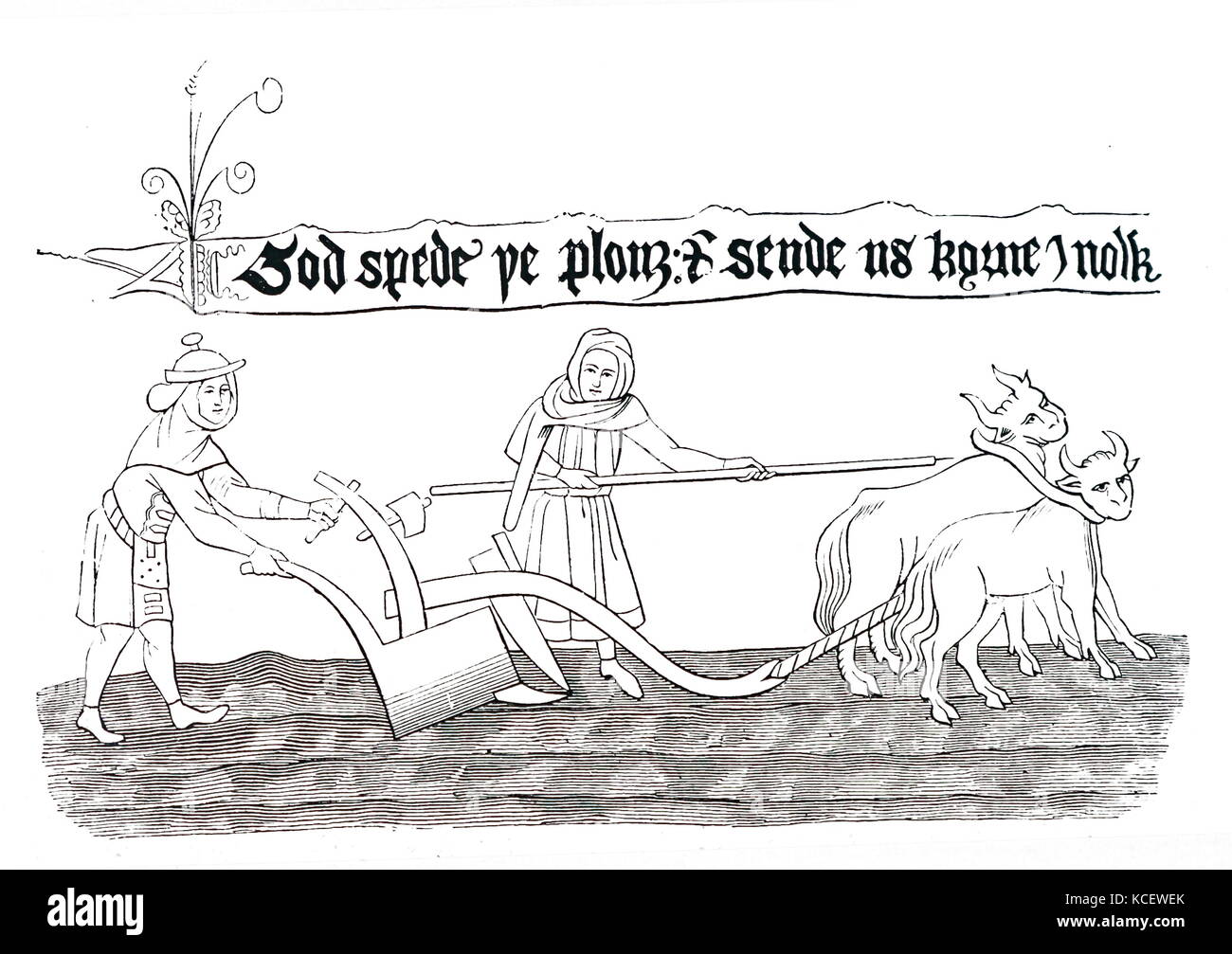 Illustration depicting ploughing in Anglo-Saxon times, with the use of ...