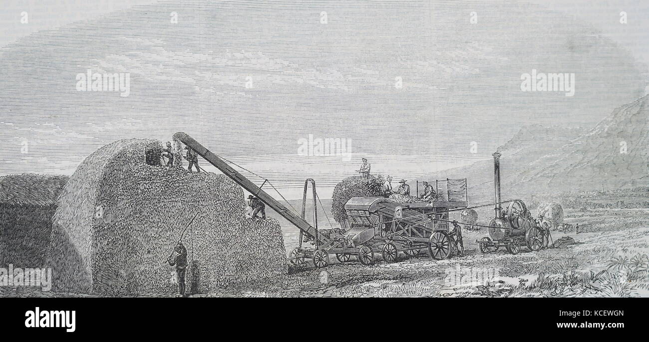 Engraving depicting a Ransomes, Sims & Jefferies threshing and stacking ...