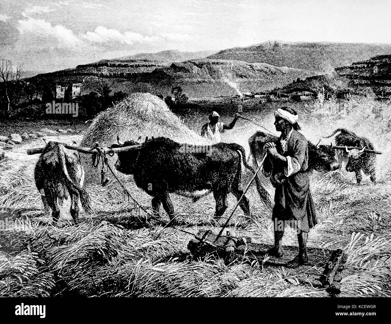 Threshing sledge hi-res stock photography and images - Alamy