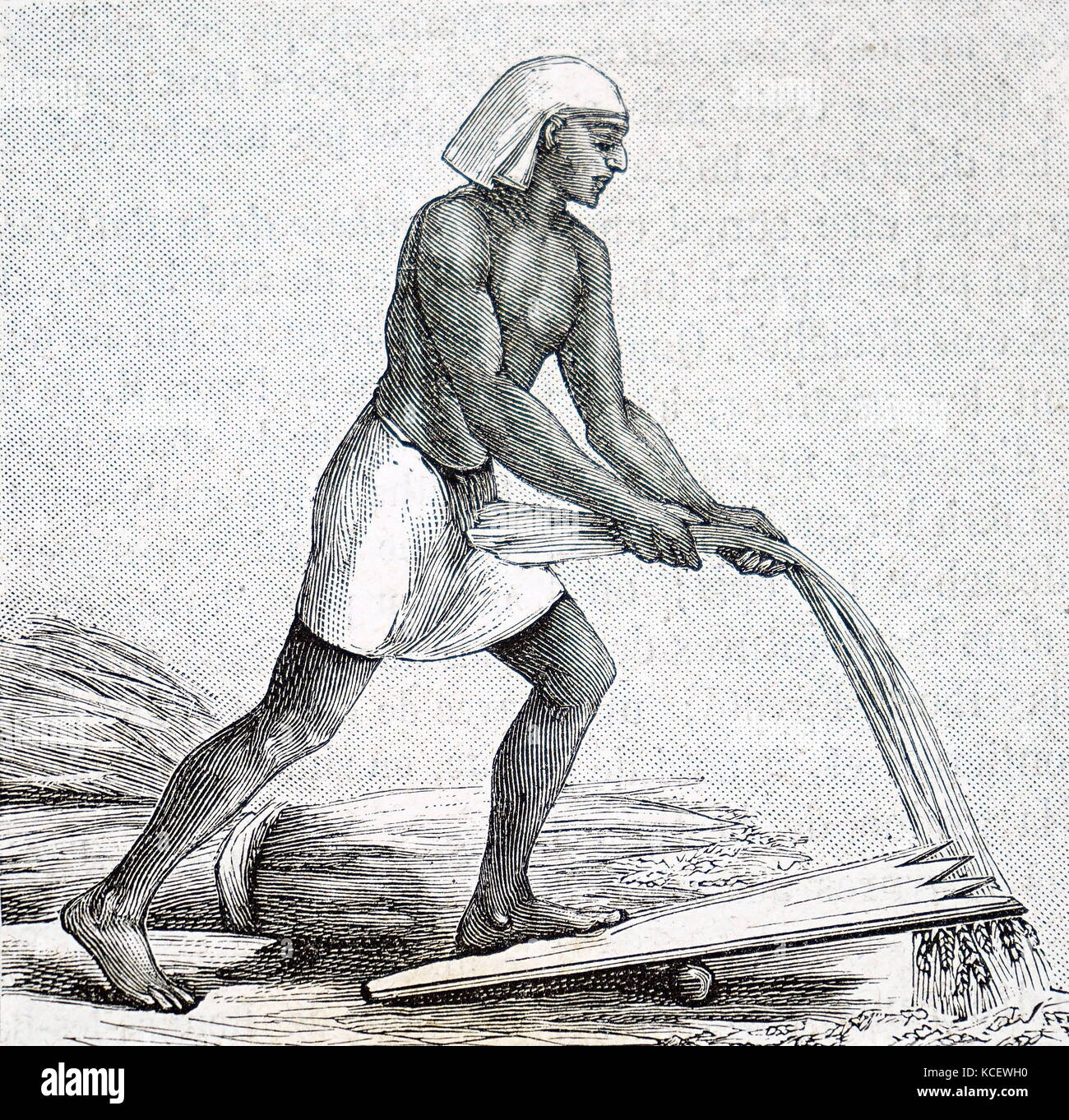 Engraving depicting an ancient Egyptian using a threshing board. Dated ...