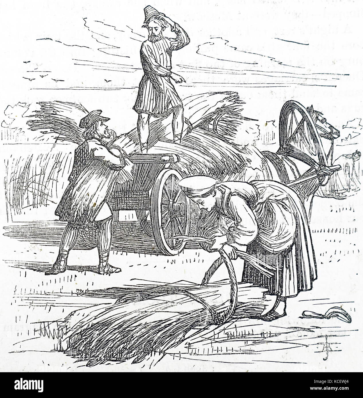 Engraving depicting the reaping of barley by hand. Dated 19th Century ...