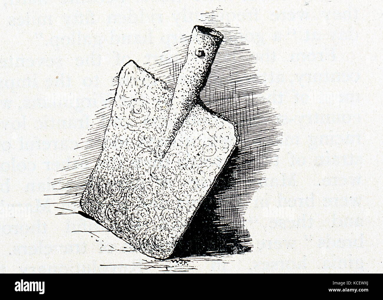 Engraving depicting wooden butter spade. Dated 19th Century Stock Photo ...
