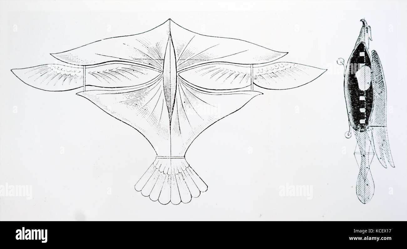 Bird flight diagram hi-res stock photography and images - Alamy