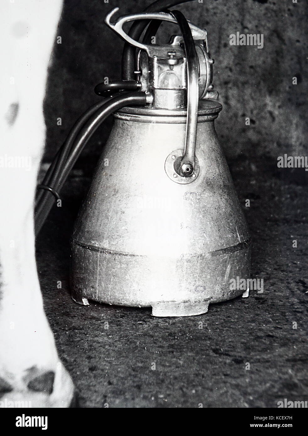 Photograph of an electric milking machine. Dated 20th Century Stock ...