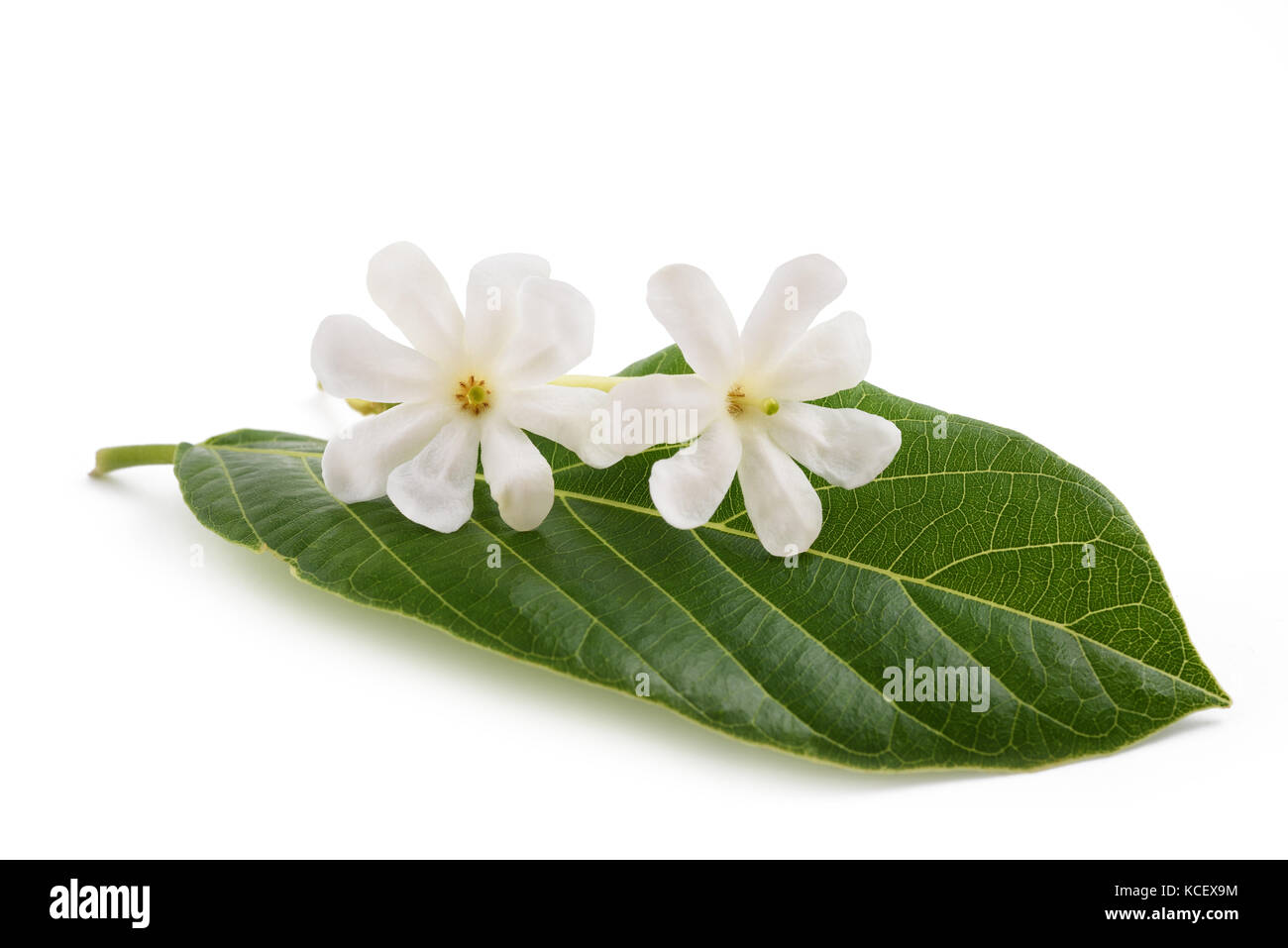 Blossom beach Cut Out Stock Images & Pictures - Alamy