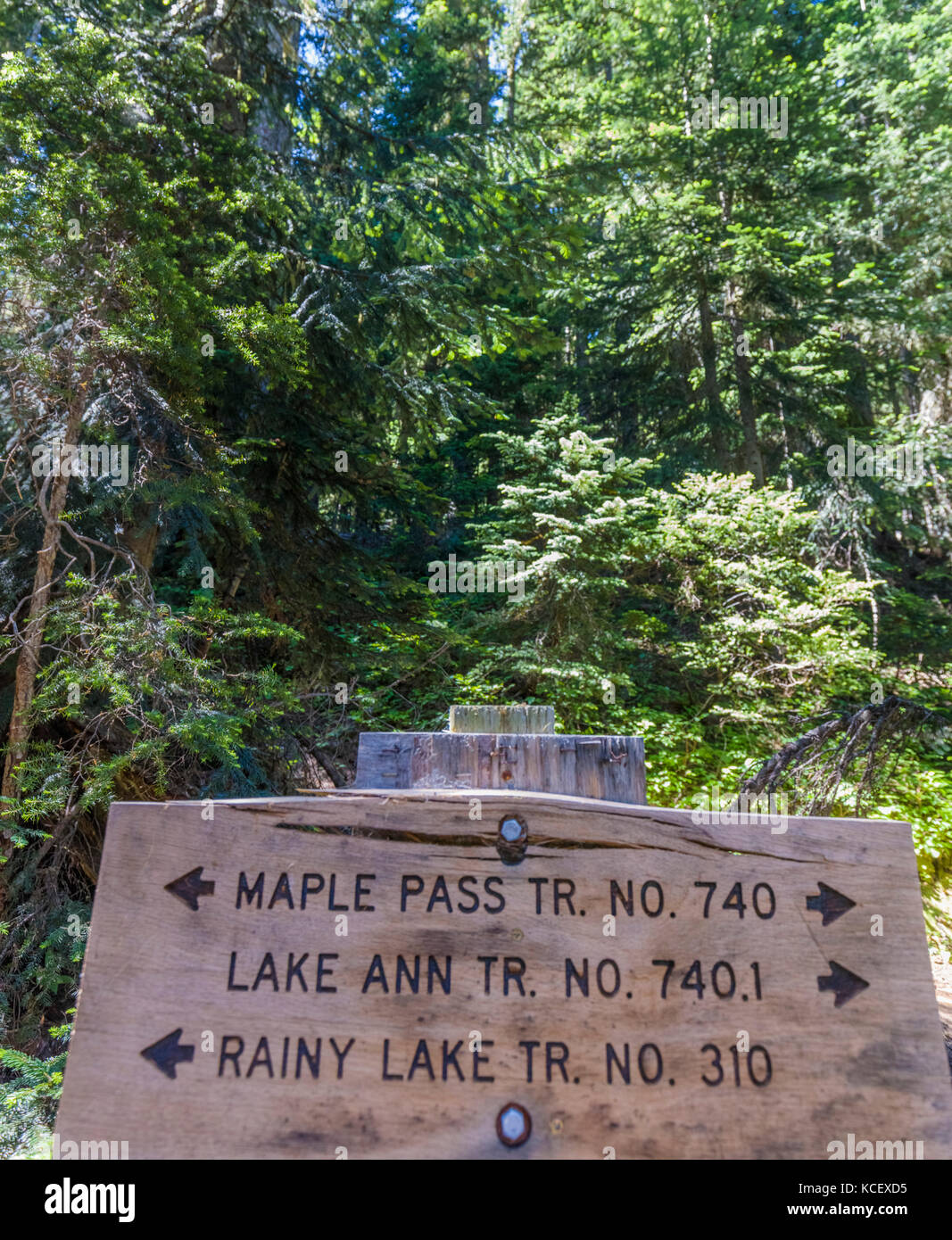 Trail sign in North Cascades National Park in Northern Washington State ...