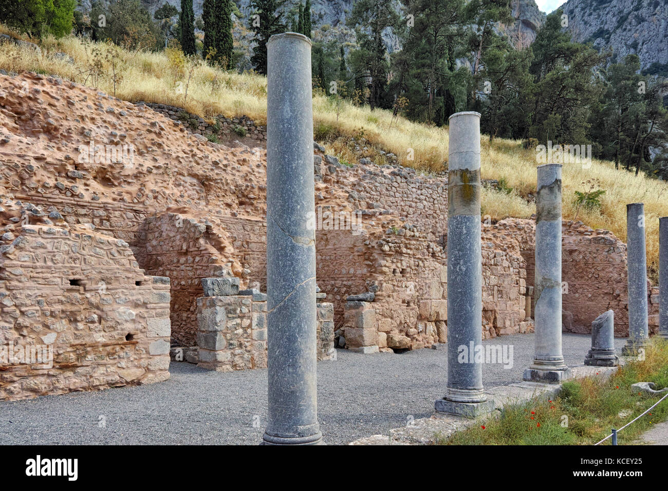 Columns of Ancient Greek archaeological site of Delphi, Central Greece ...