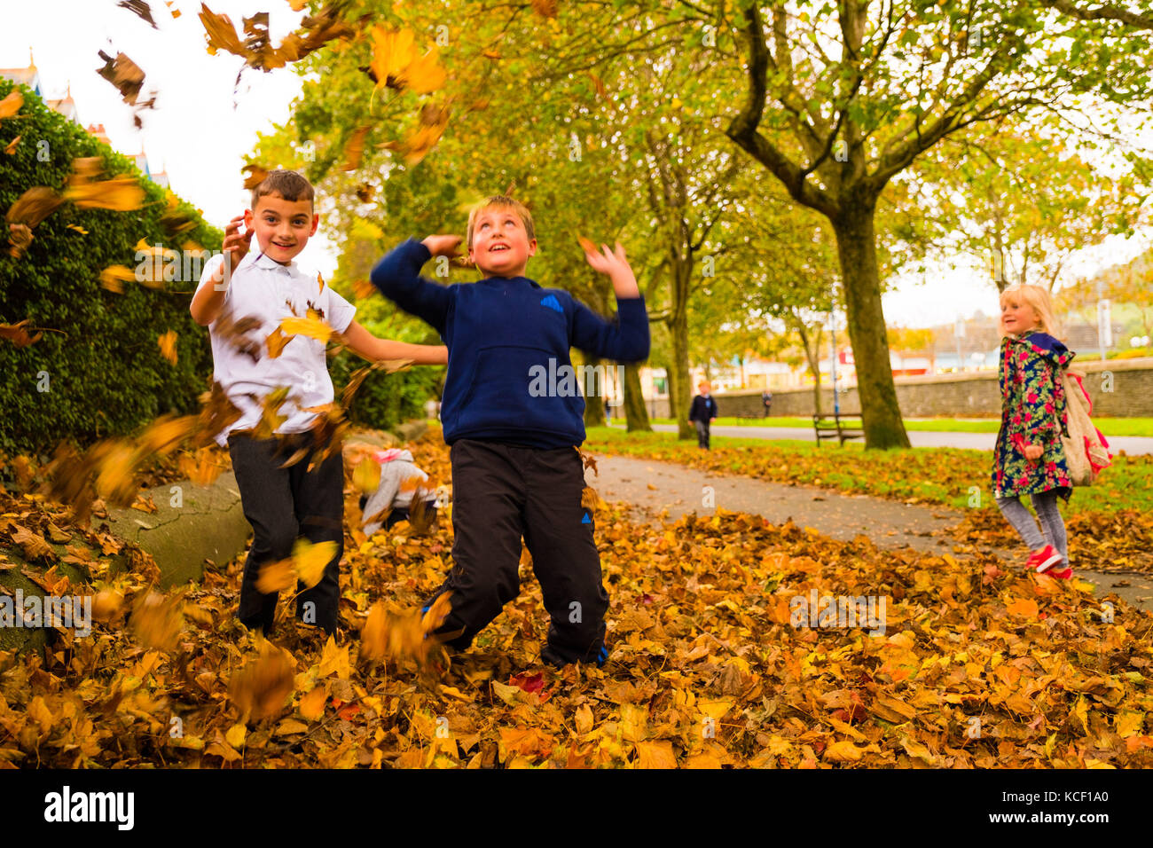 Plascrug primary school aberystwyth wales hi-res stock photography and ...