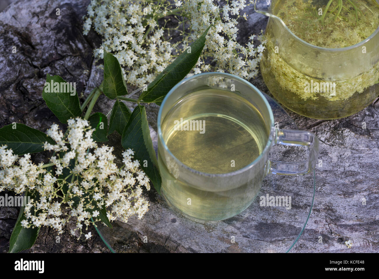 Holunderblüten-Tee, Holunderblütentee, Tee, Kräutertee, Heiltee ...