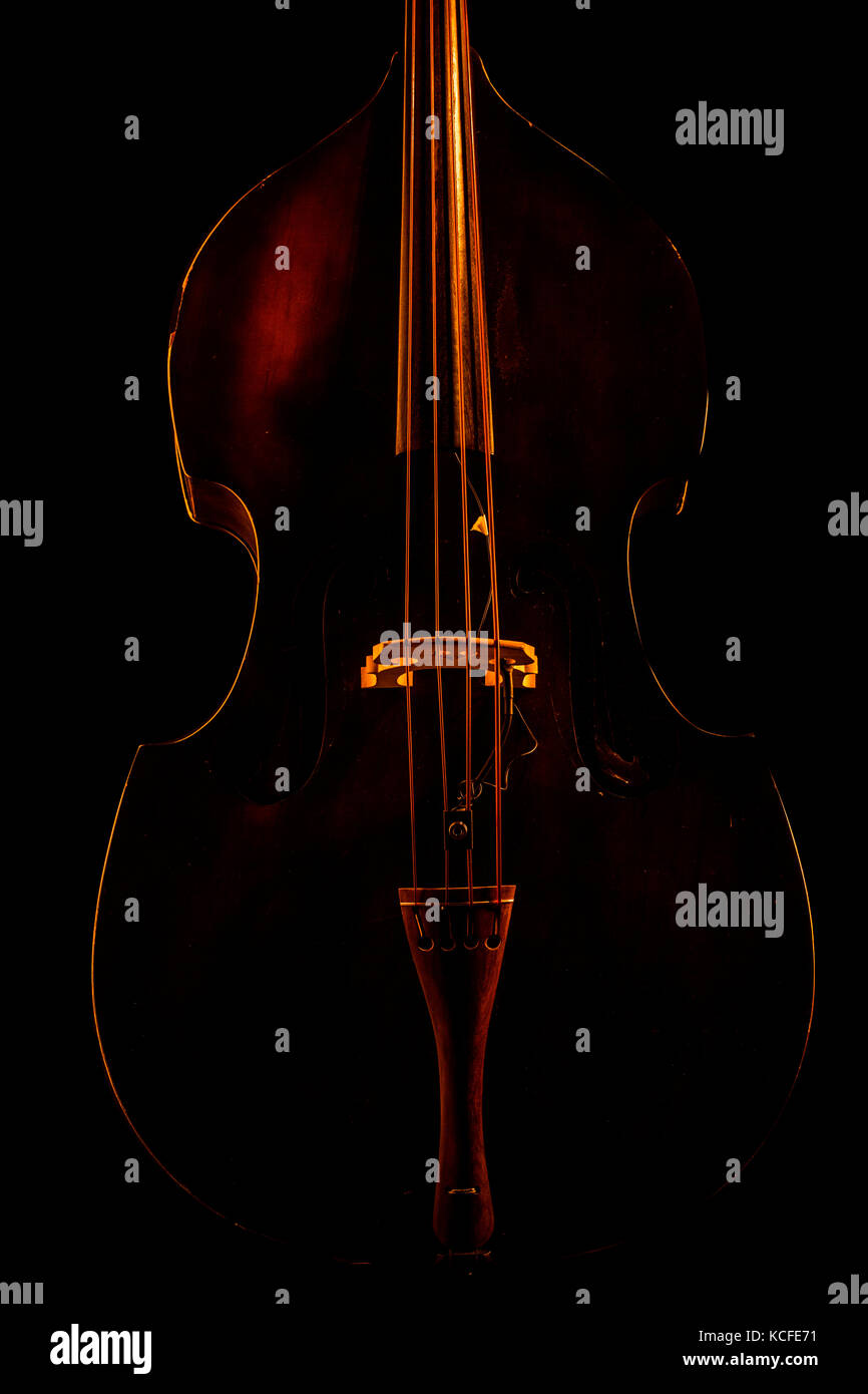 Contrabass hi-res stock photography and images - Alamy