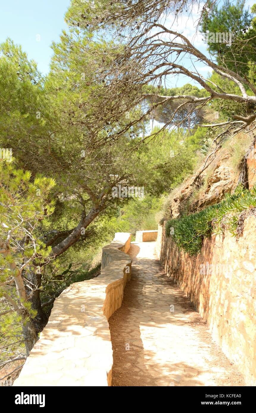 Pleasant walk around the cliffs among pine trees in Sa Riera, Begur ...