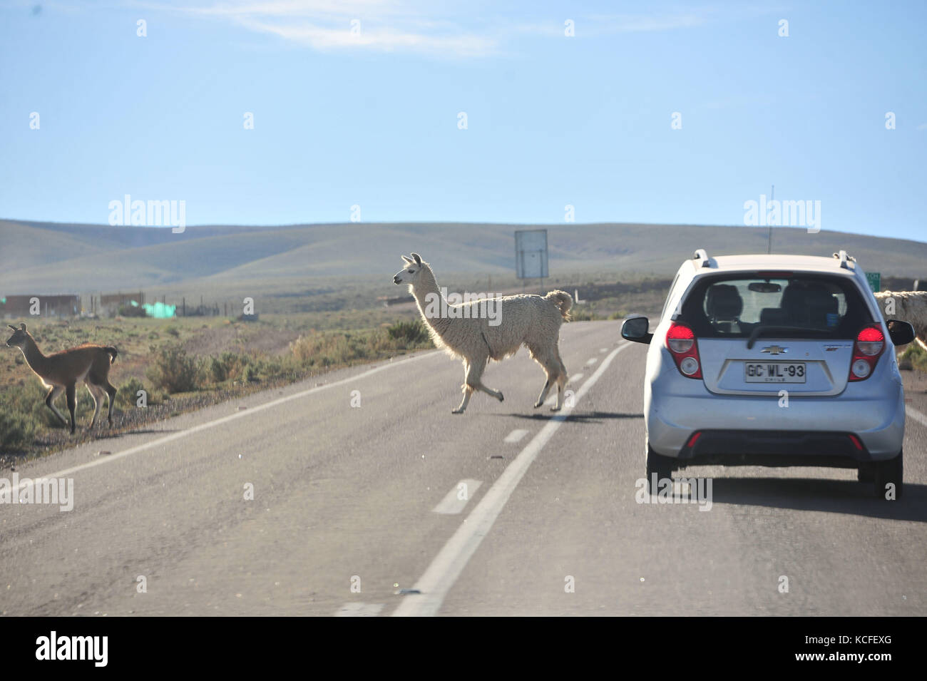 Car, road, 2015, Atacama, Chile Stock Photo - Alamy