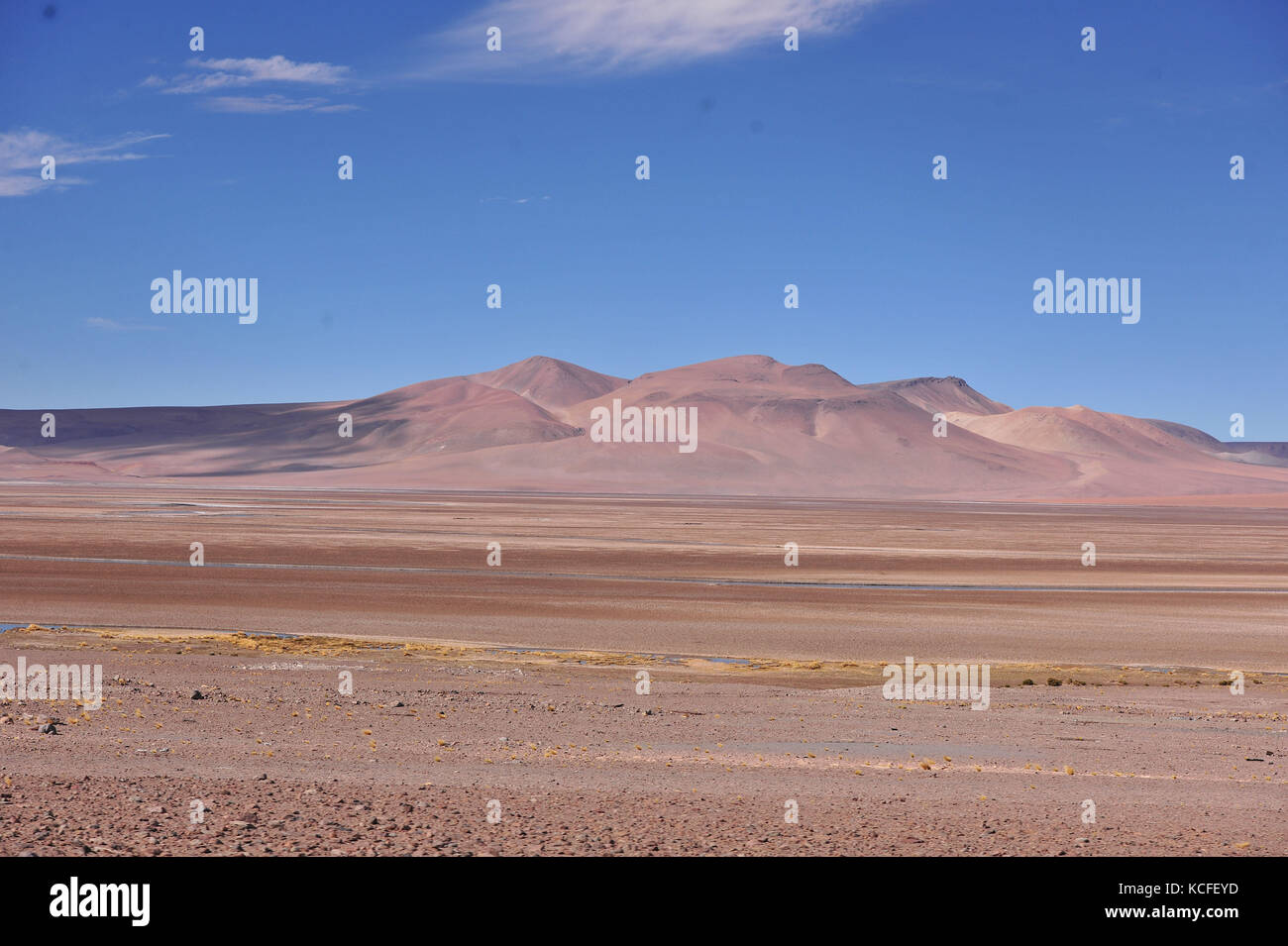Creeping desert hi-res stock photography and images - Alamy