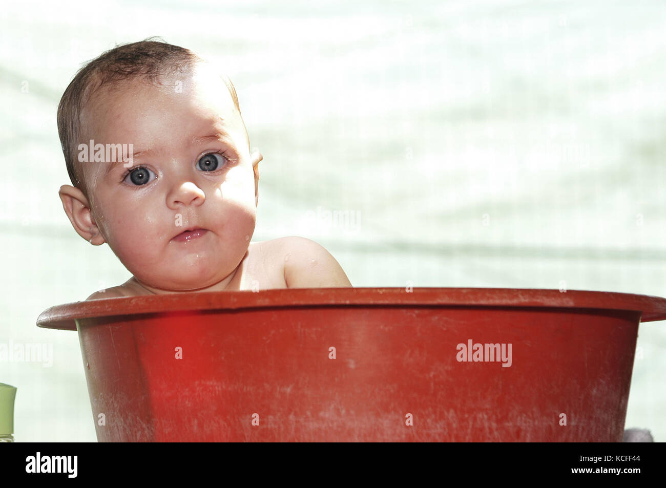 Baby, Bath in basin, isolated on white background Stock Photo - Alamy