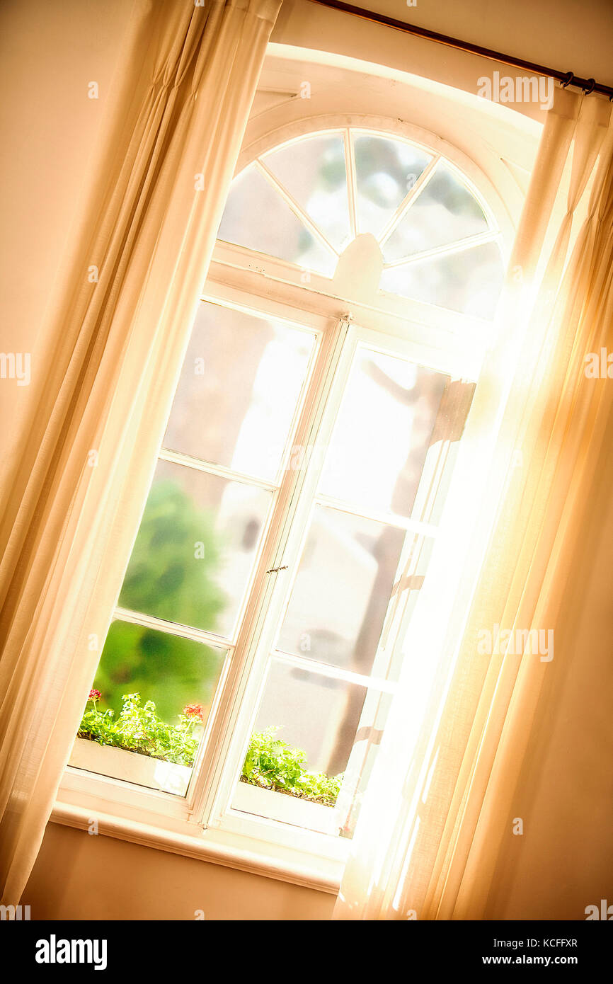 Window, curtain, flowers, arch Stock Photo - Alamy