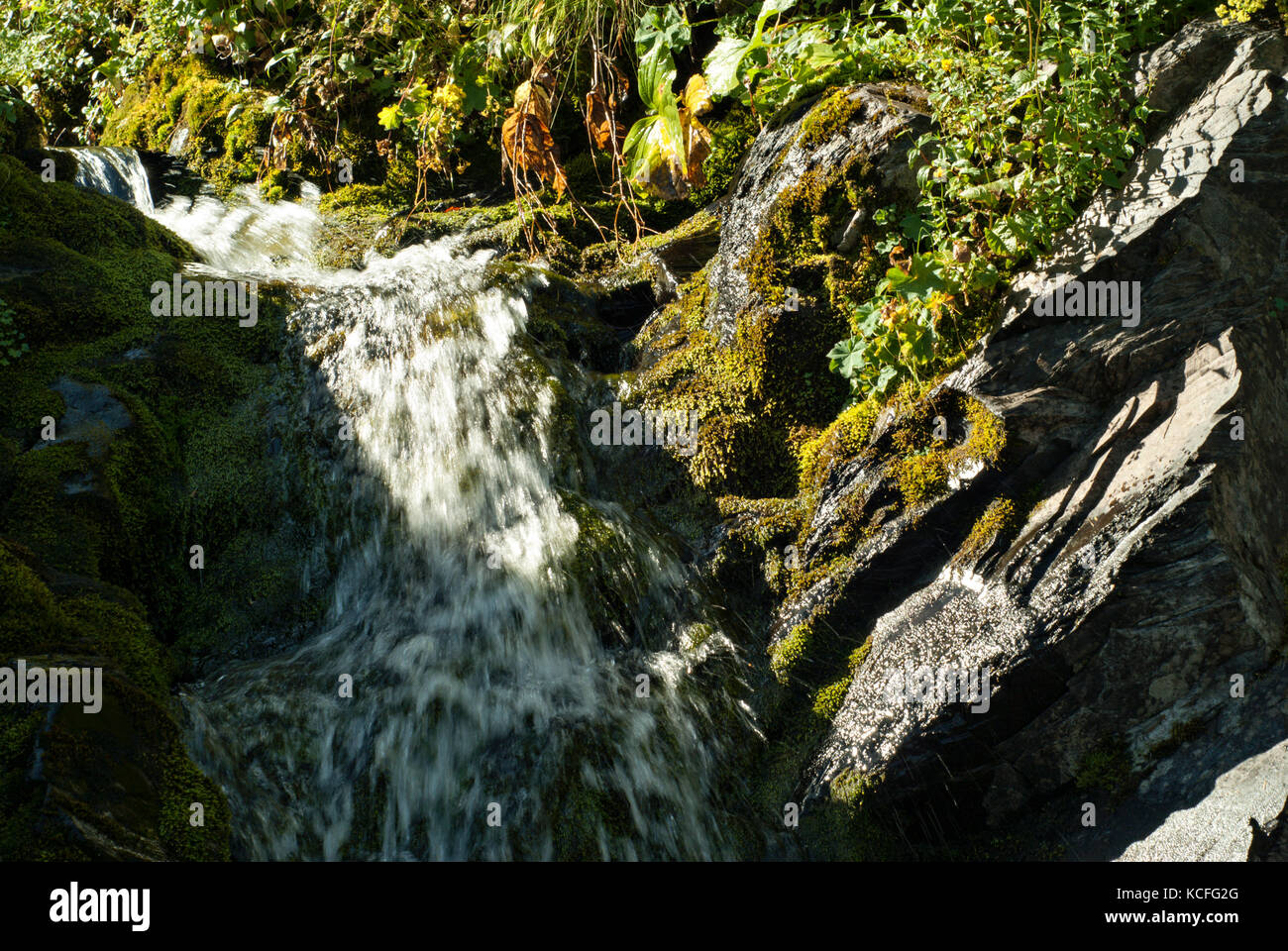 fast mountain stream with a small waterfall Stock Photo - Alamy