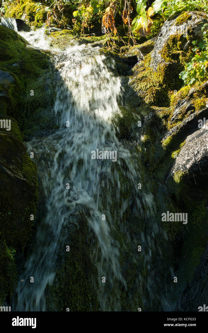fast mountain stream with a small waterfall Stock Photo - Alamy