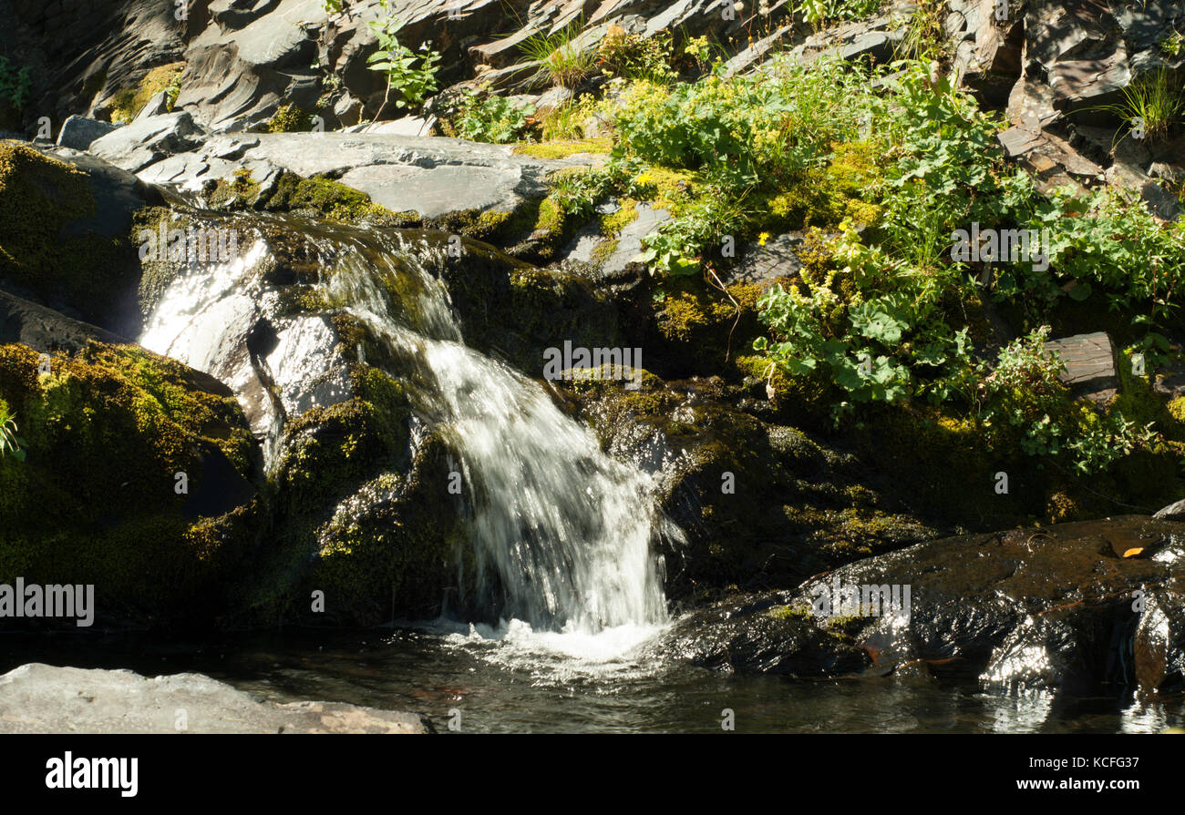 fast mountain stream with a small waterfall Stock Photo - Alamy