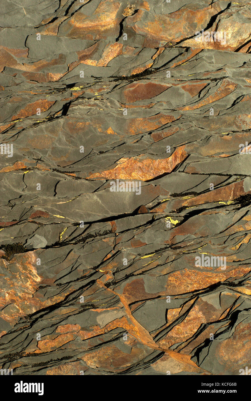 texture: gray-brown layered natural rock Stock Photo - Alamy