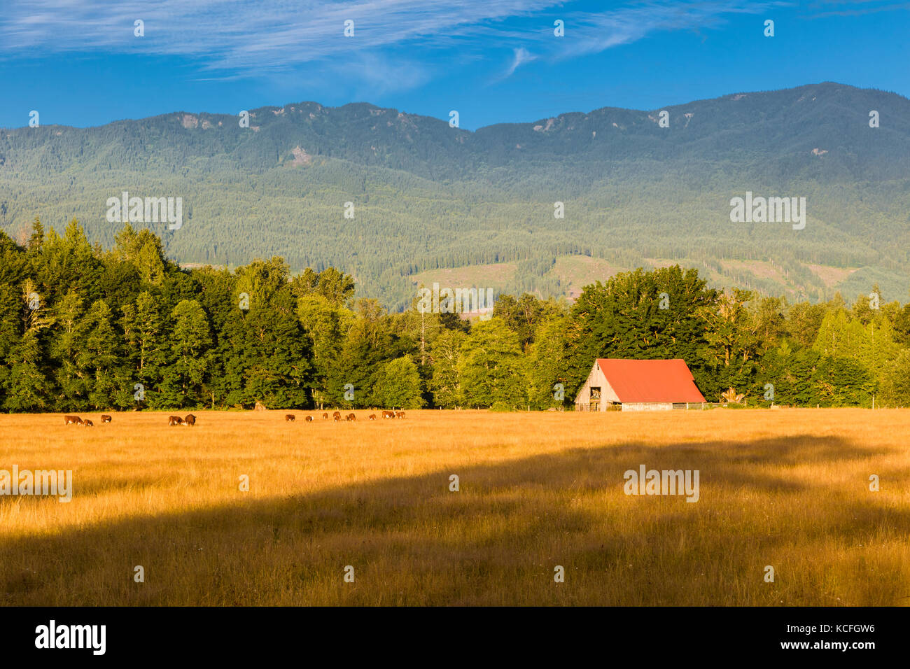 Farm in Cascade Mountains in northern Washington State in the United ...