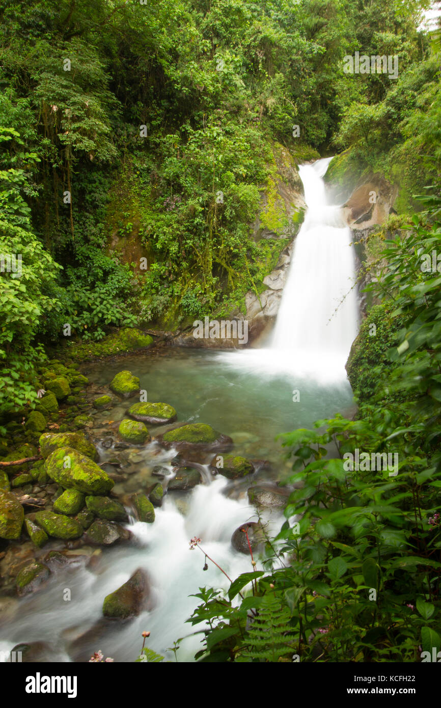 Chirripó costa rica hi-res stock photography and images - Alamy