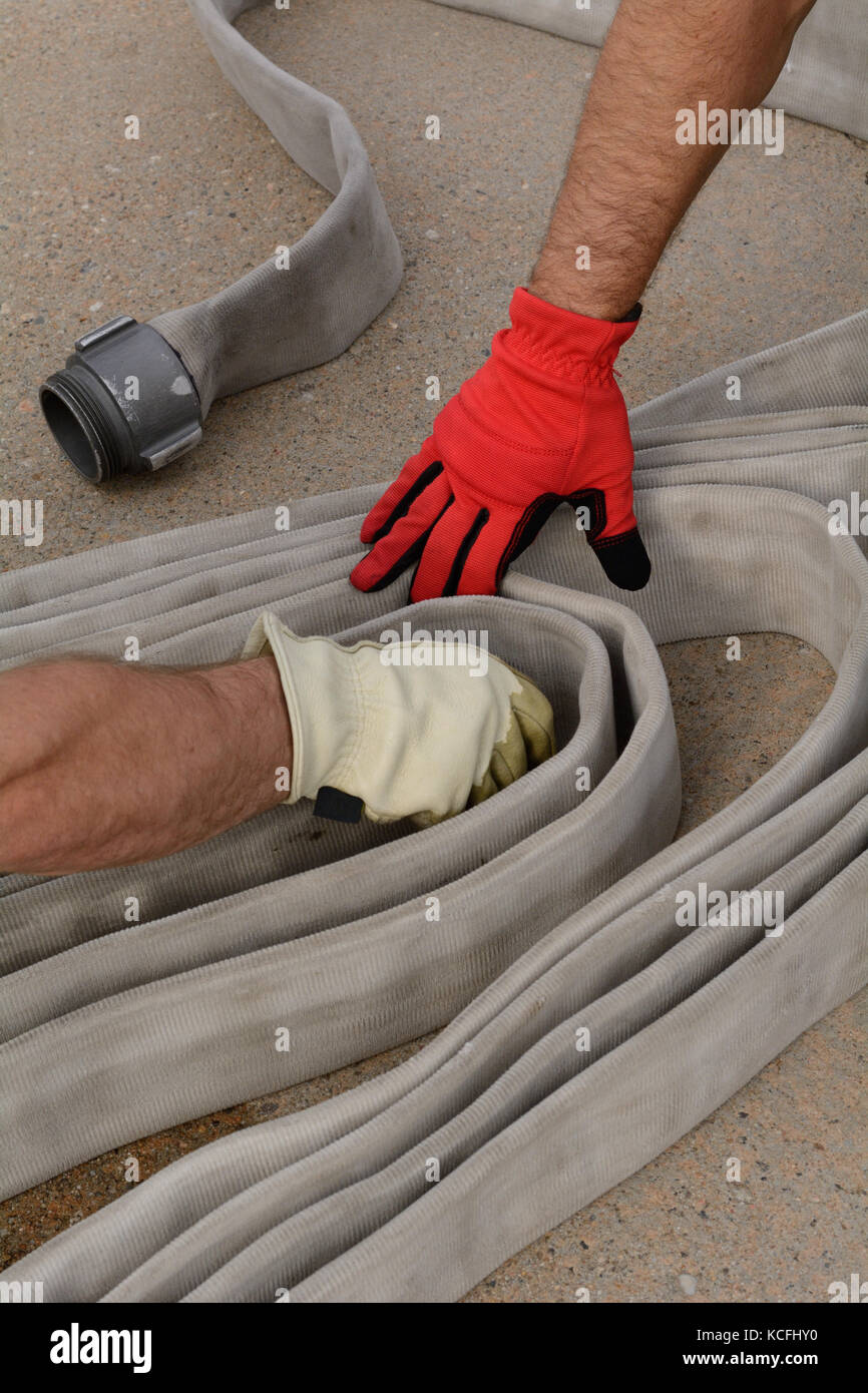 Firemen hands working together as team to roll up fire hose after ...