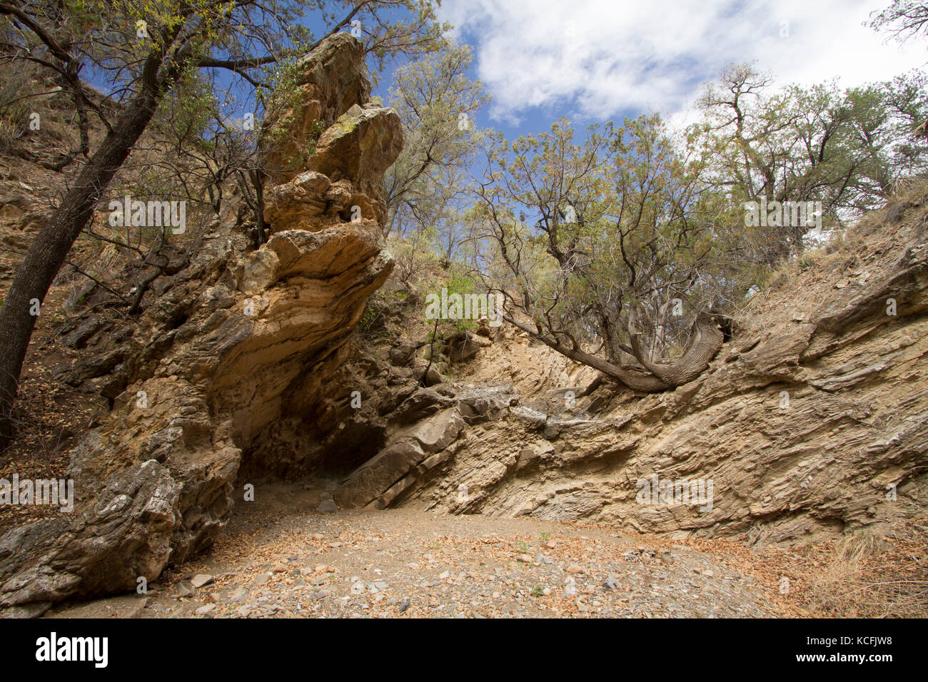 Black-tailed Rattlesnake den, Crystal Caves, Sonoran Desert, United ...