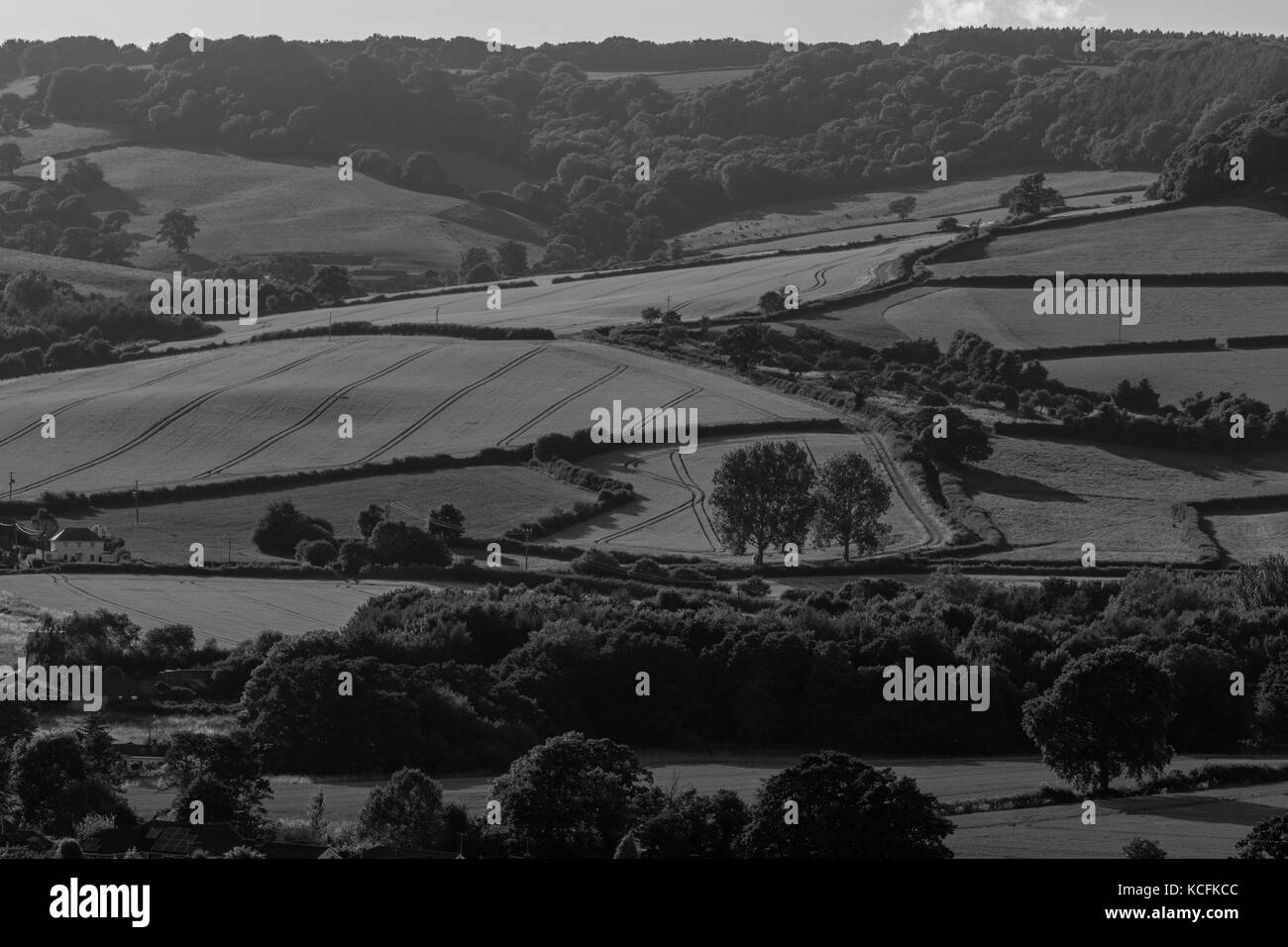 South Coast England, Jurassic Coast Stock Photo - Alamy