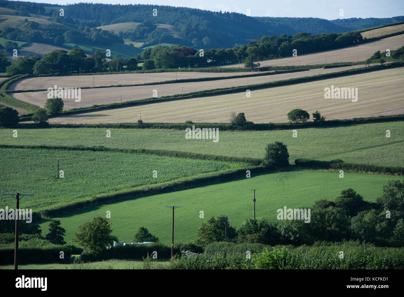 South Coast England, Jurassic Coast Stock Photo - Alamy