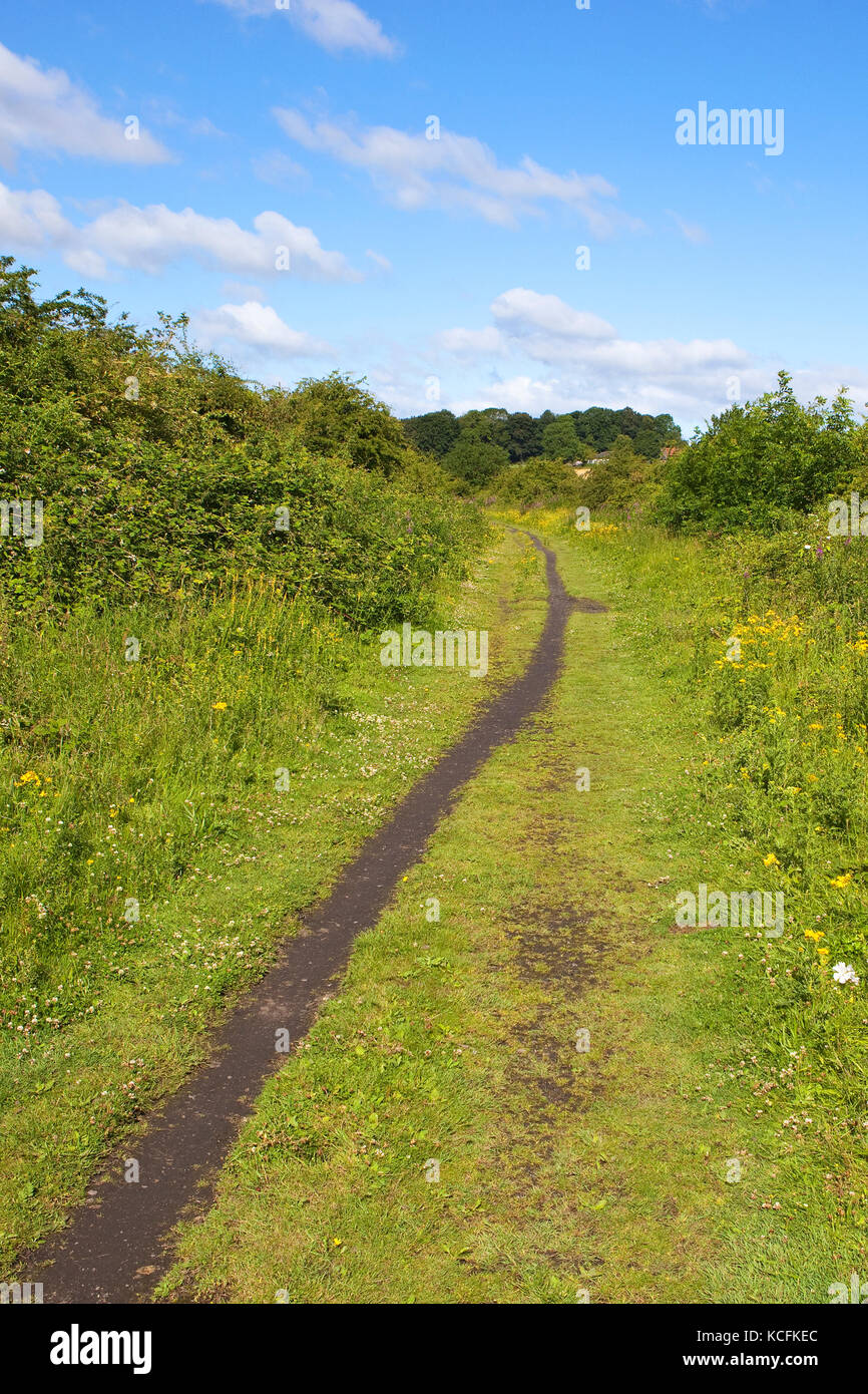 an ash footpath along an old railway track with high hedgerows and ...