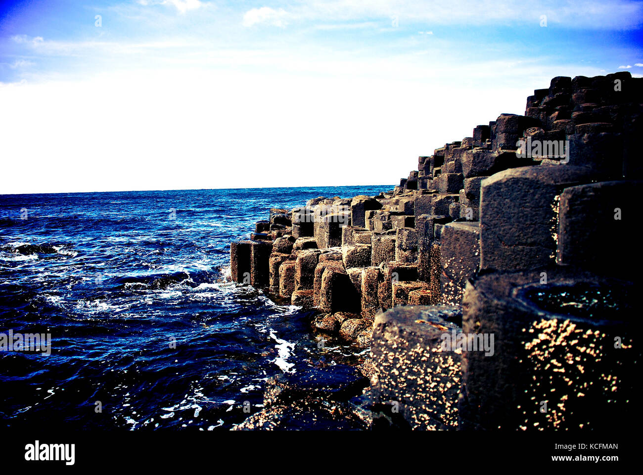 Causeway coast marine life hi-res stock photography and images - Alamy