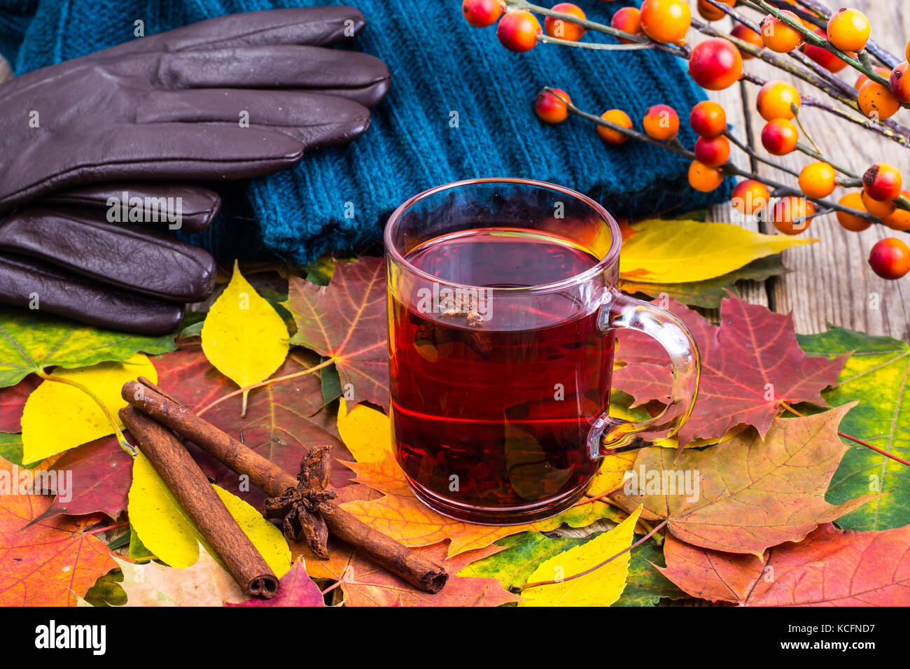 Warm clothes and hot tea-signs of autumn Stock Photo - Alamy