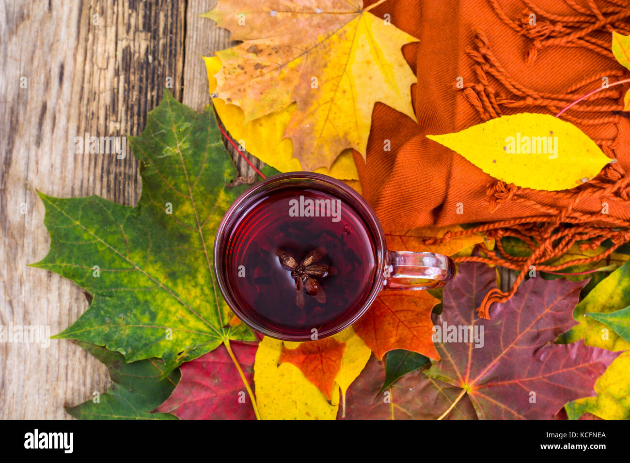 Warm clothes and hot tea-signs of autumn Stock Photo - Alamy