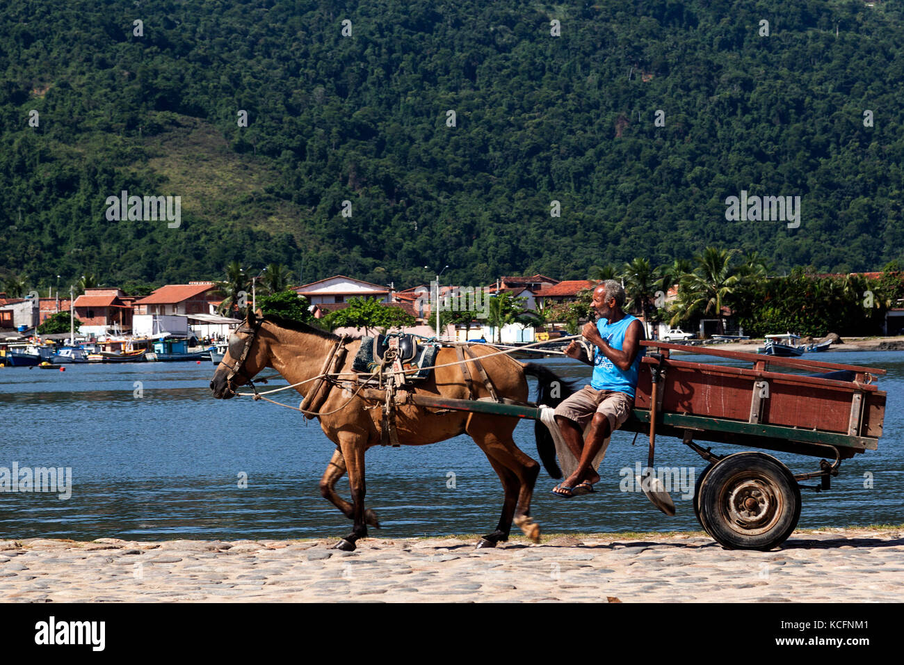 Brazil horse drawn carriage hi-res stock photography and images - Alamy