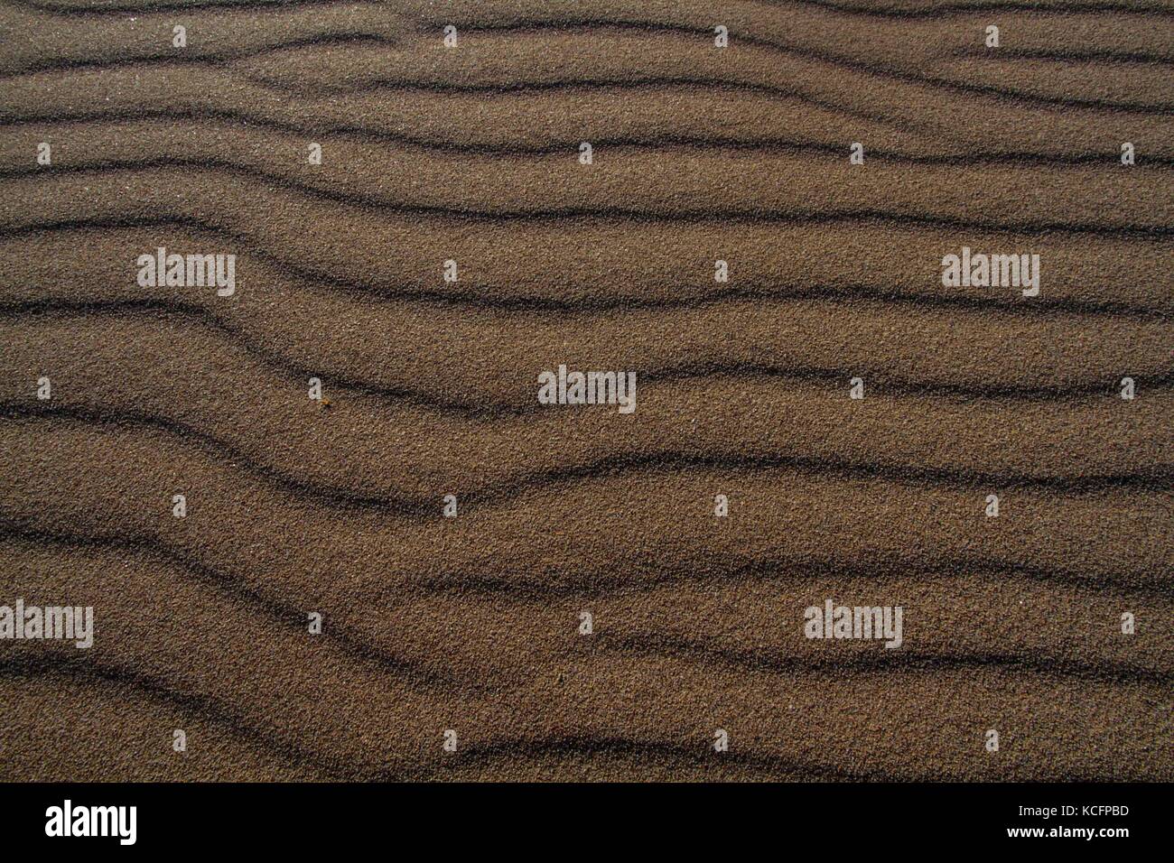 texture of sand dunes at sunset view on the beach of San Nicolas very ...
