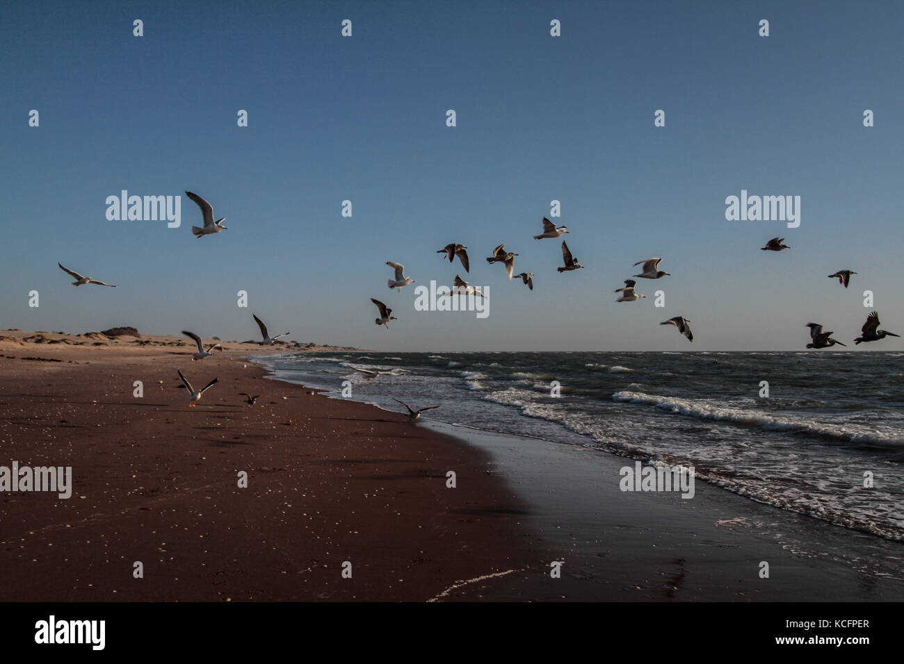 texture of sand dunes at sunset view on the beach of San Nicolas very ...