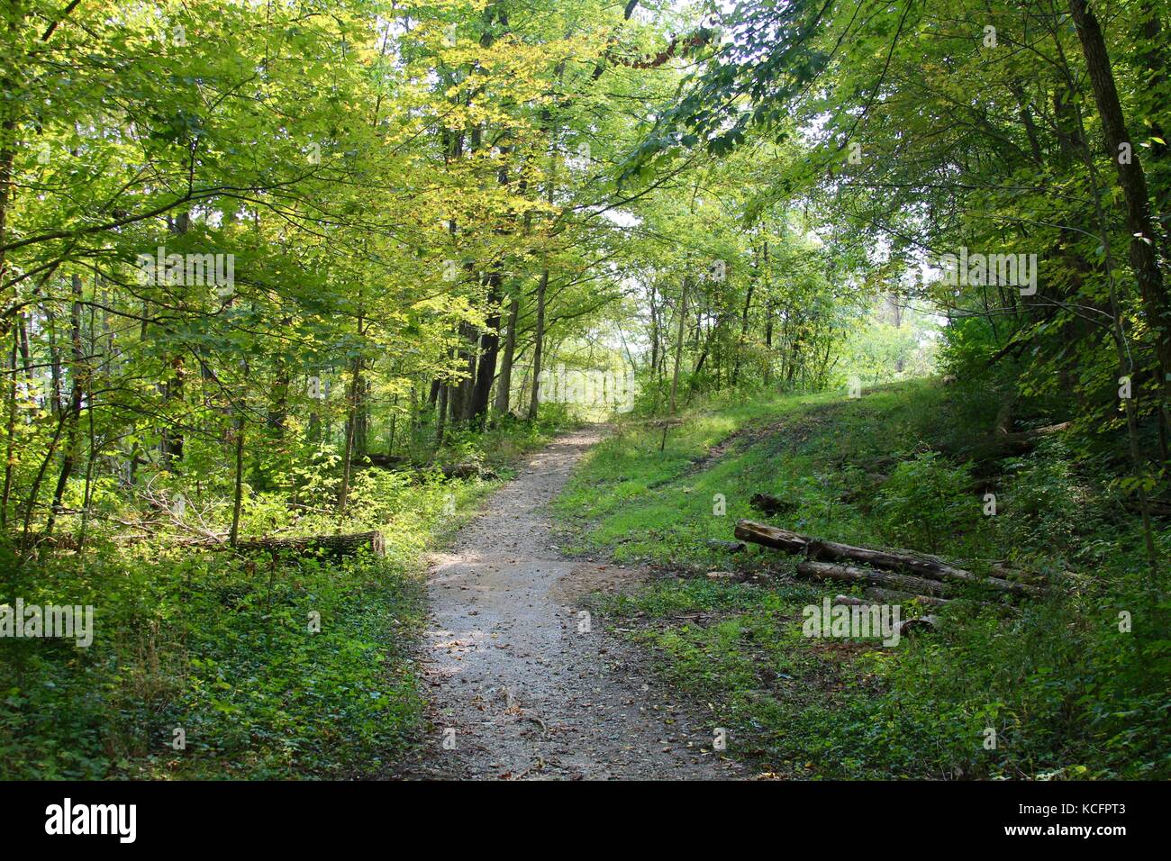 Some of the landscapes plants and trails of southwest Ohio Stock Photo ...