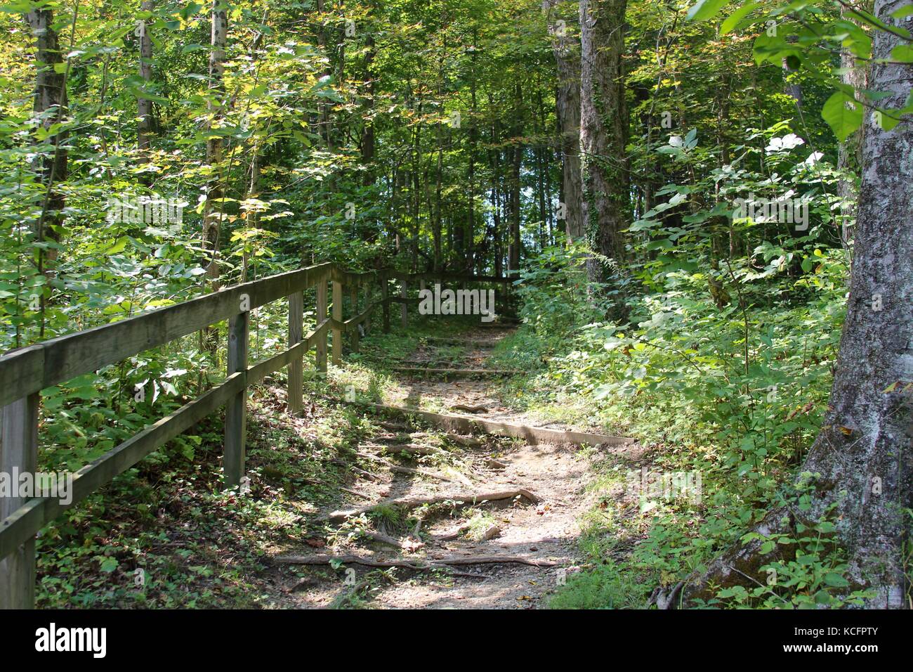Some of the landscapes plants and trails of southwest Ohio Stock Photo ...